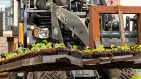 Diligent as ants – KTR Insight online magazine