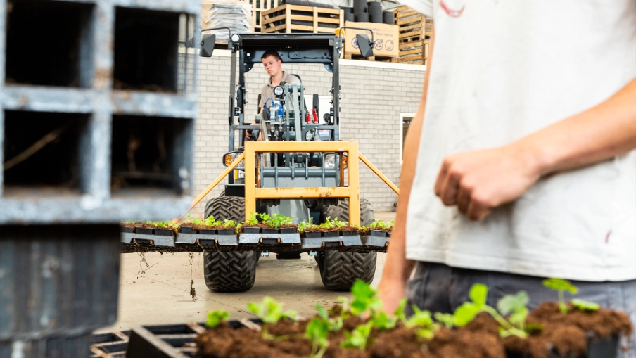 Diligent as ants – KTR Insight online magazine